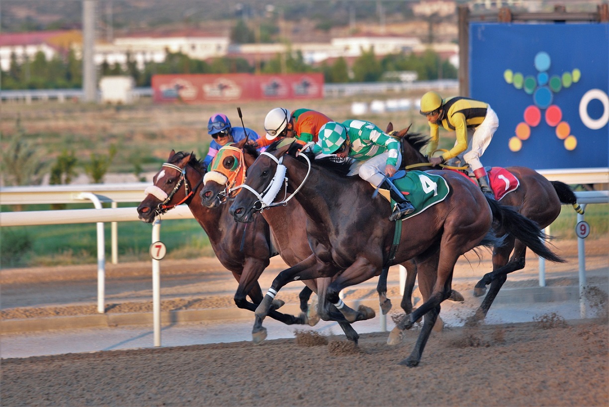 Markopoulo Park: Οι πέντε πιο συναρπαστικές ιπποδρομίες! (video)